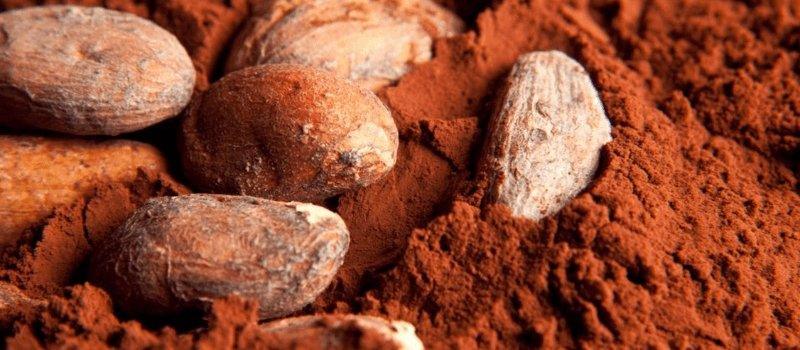 Skin Benefits of Raw Cacao: A Superfood For Your Skin – Skin Alchemy